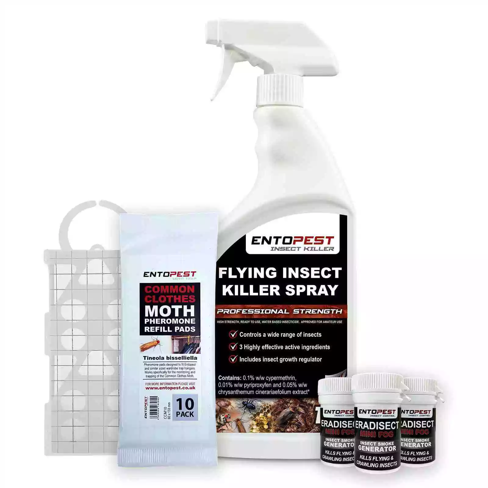 Brown House Moth Treatment - Moth Removal