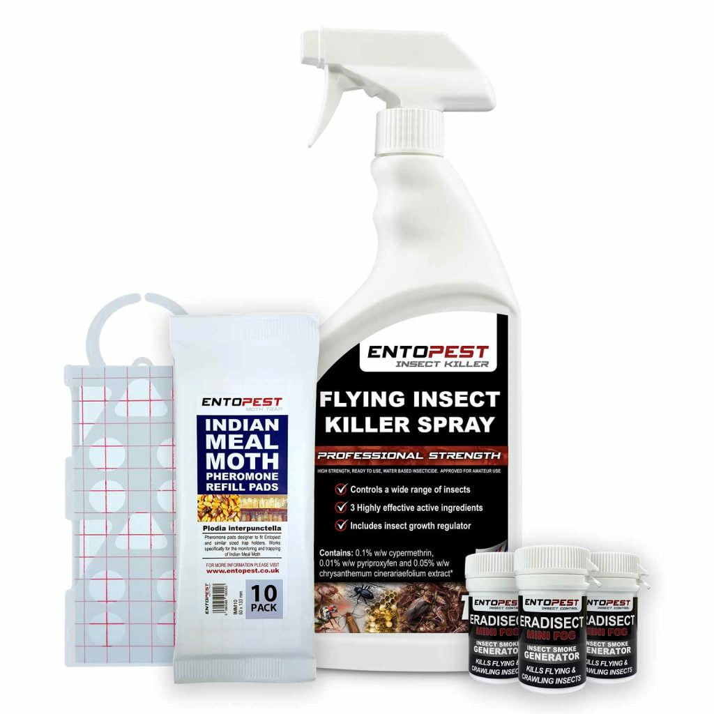 Warehouse Moth Treatment - Moth Removal