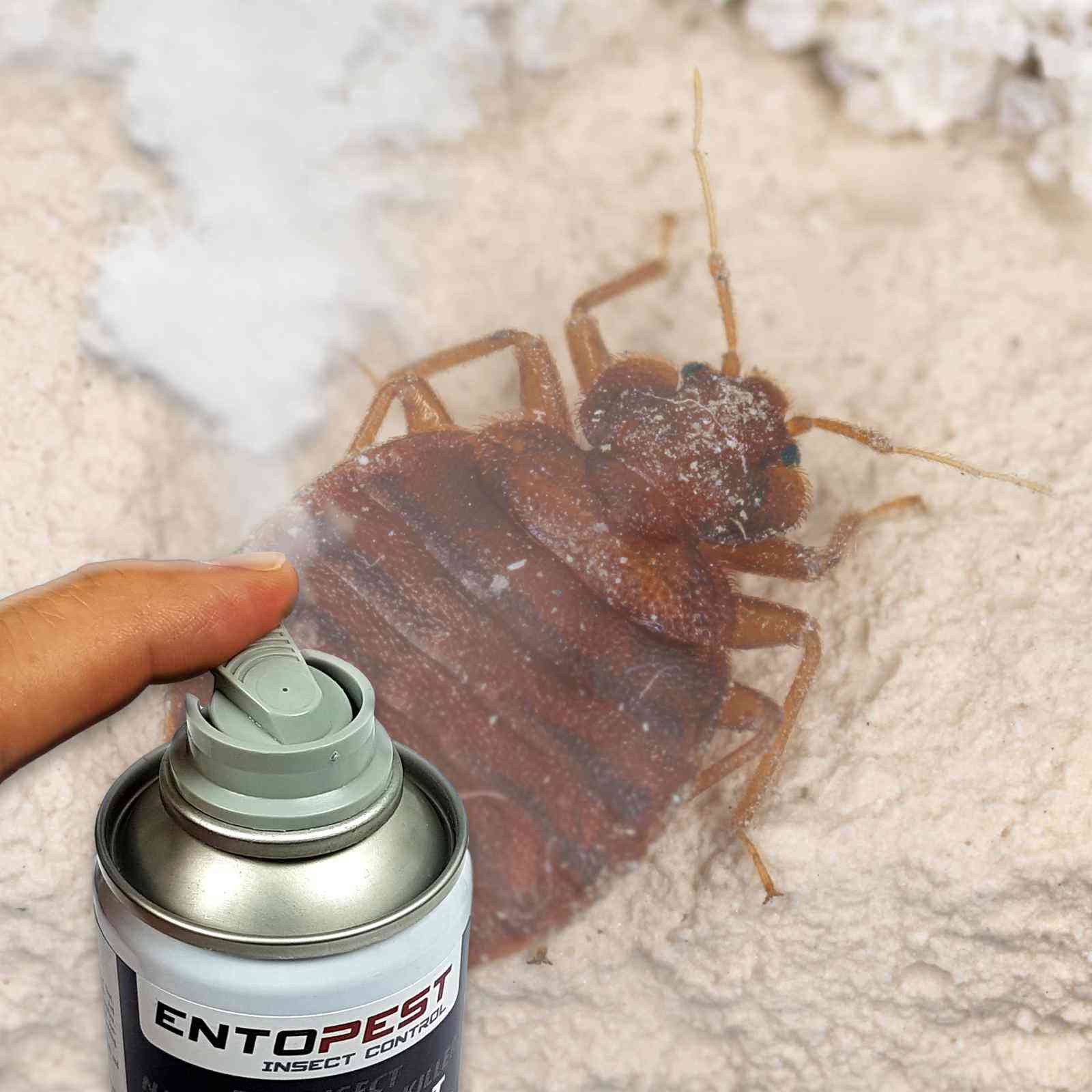 Entopest Insect Killer Aerosol Fogger 150ml – Moth Removal